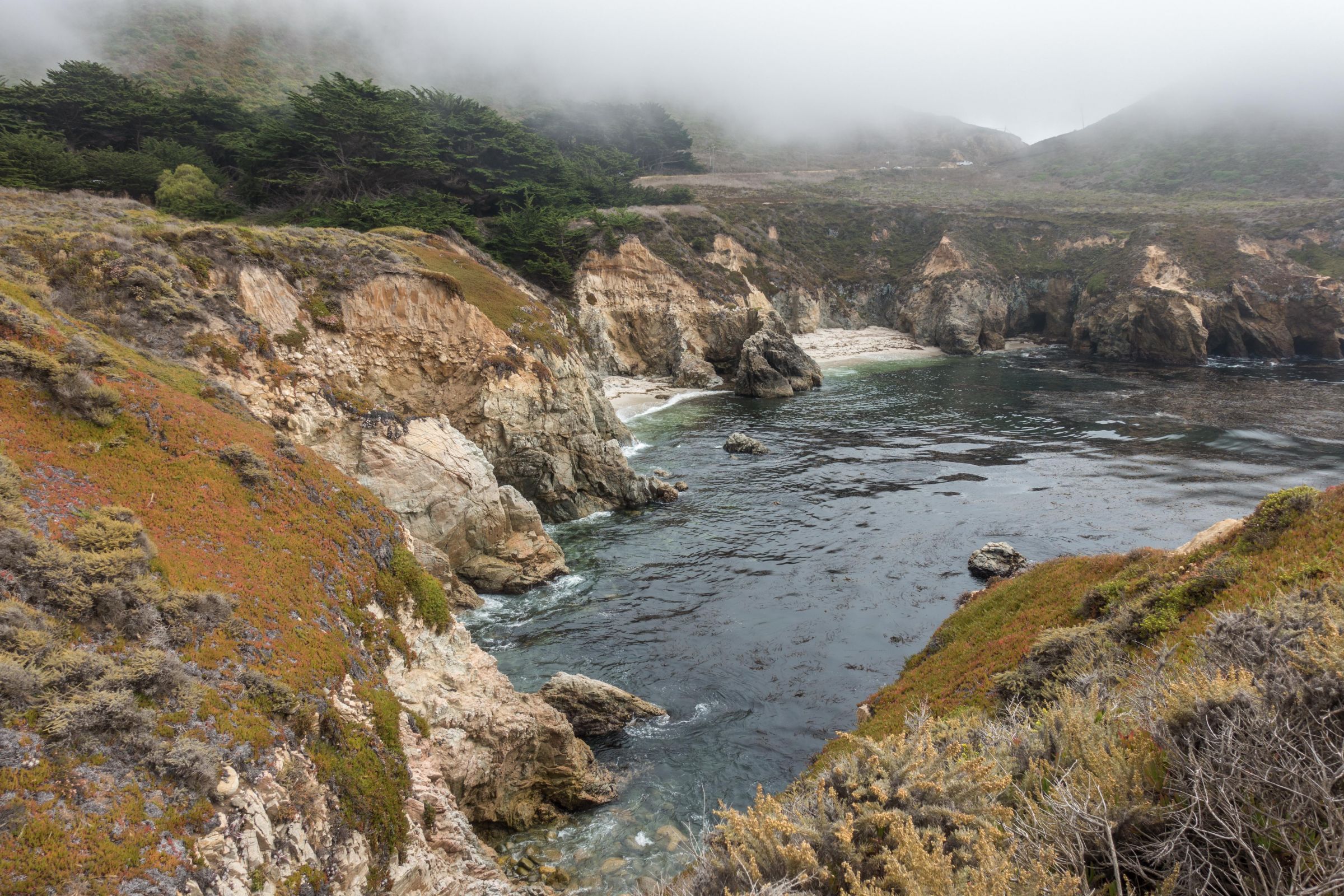 Garrapata State Park - The Jewel on HW 101 | Best Time to Visit ...