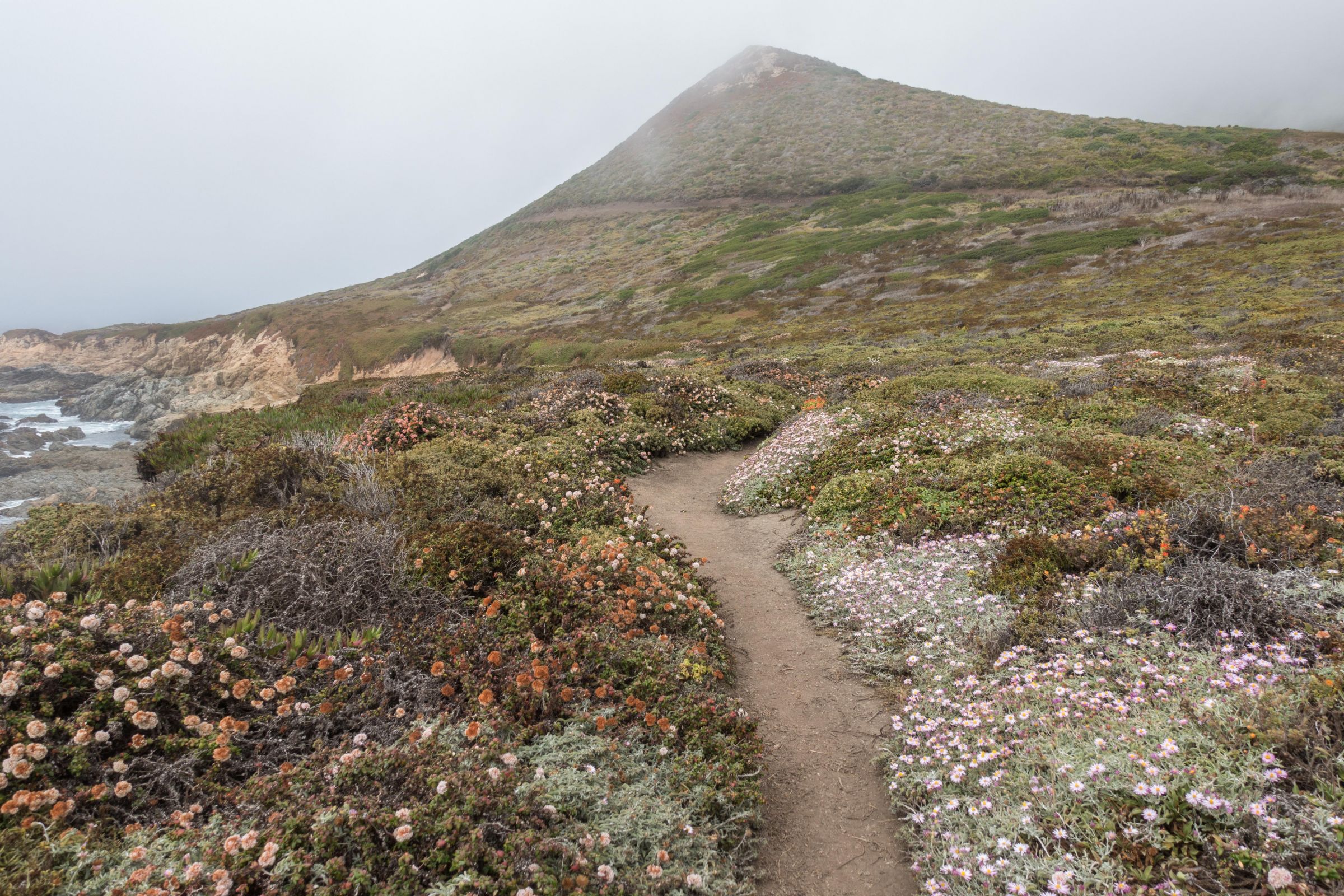 Garrapata State Park - The Jewel on HW 101 | Best Time to Visit ...