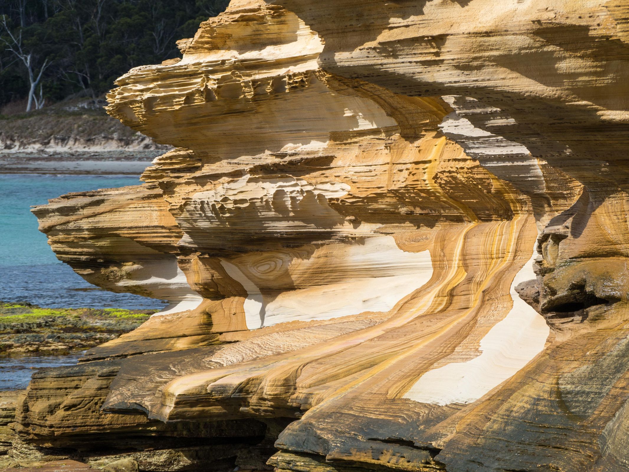 The Breathtaking Painted Cliffs on Maria Island | Best Time 2 Visit ...