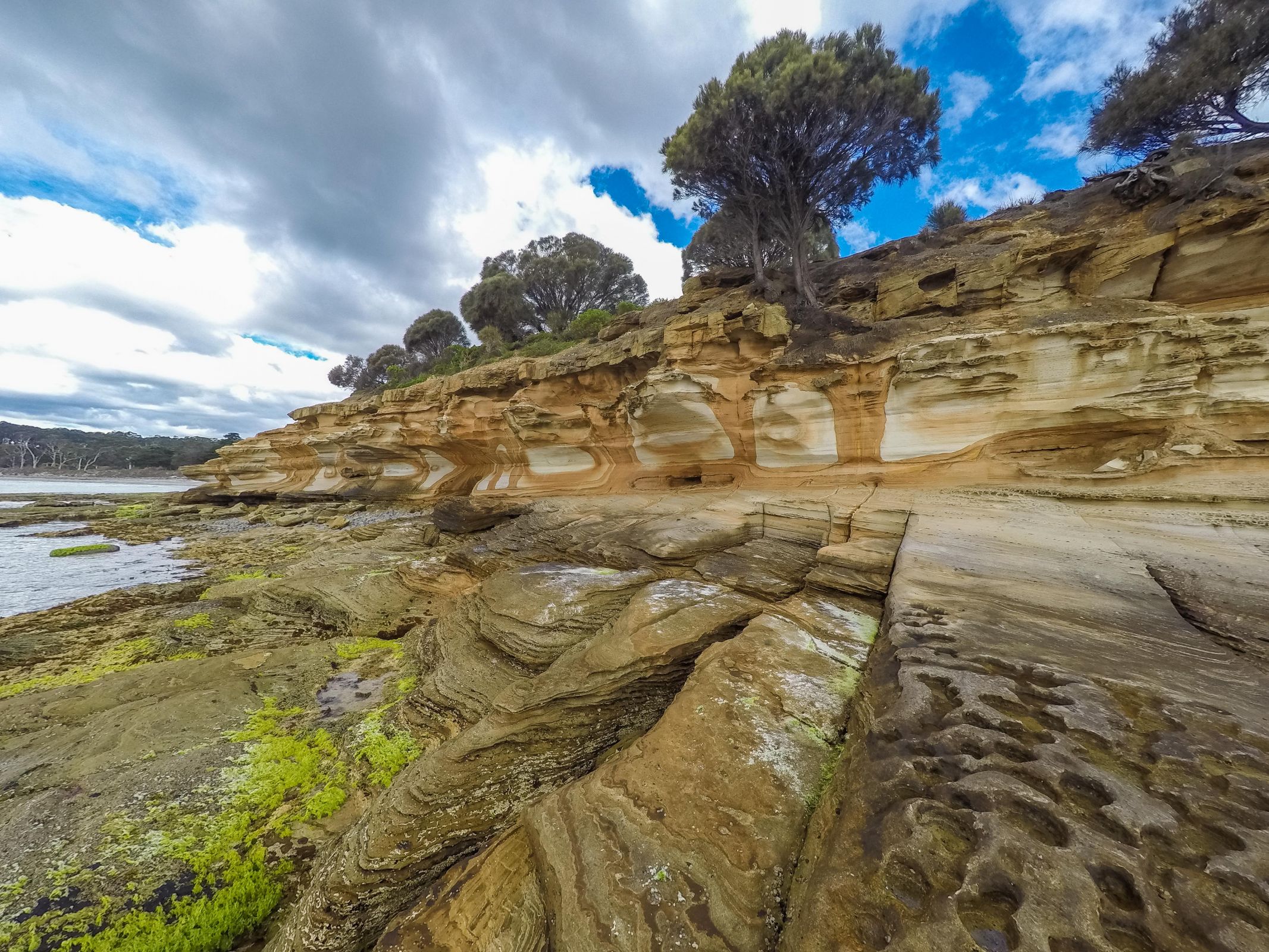 The Breathtaking Painted Cliffs on Maria Island | Best Time 2 Visit ...