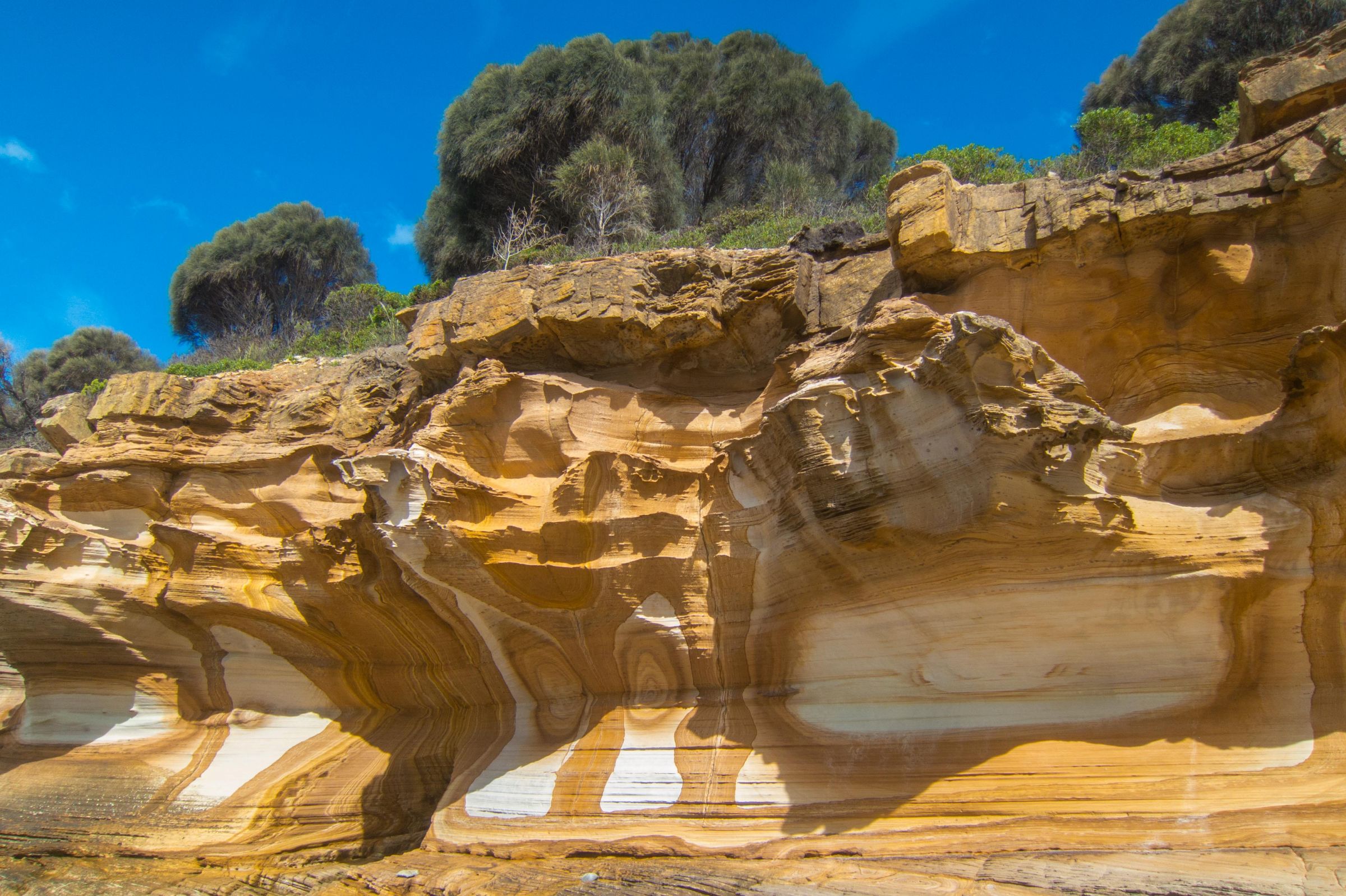 The Breathtaking Painted Cliffs on Maria Island | Best Time 2 Visit ...