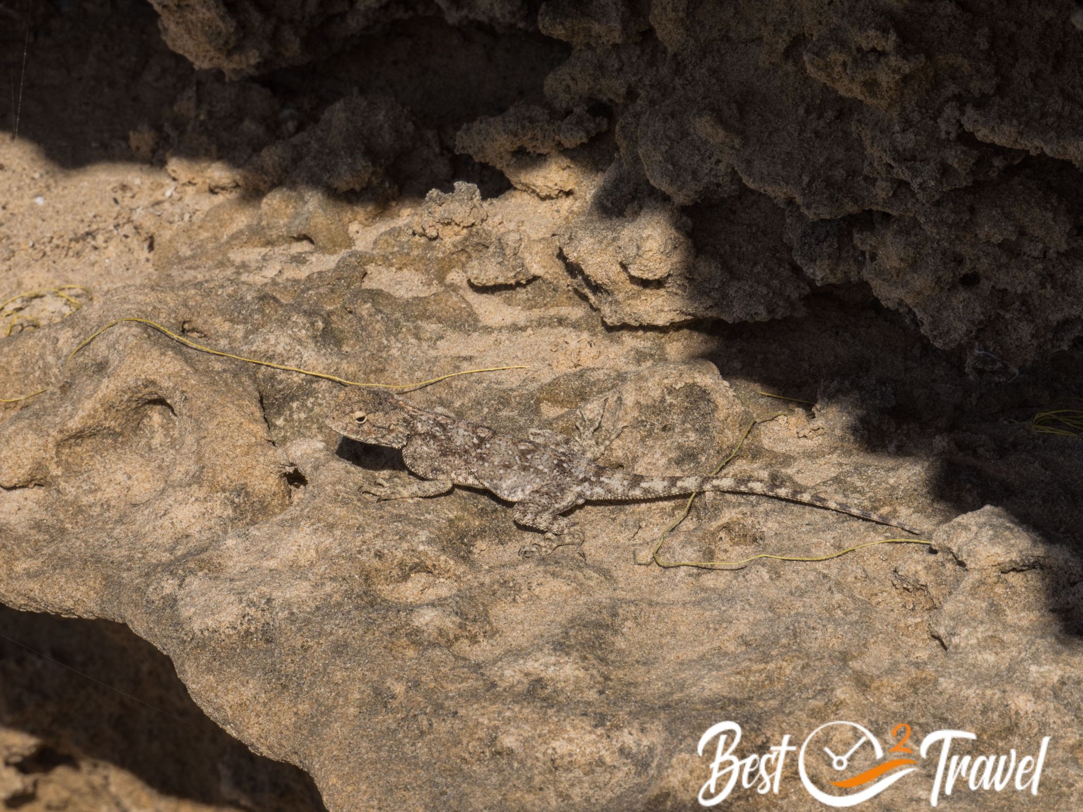 Gericke’s Point and Swartvlei Beach in Sedgefield Between George and ...