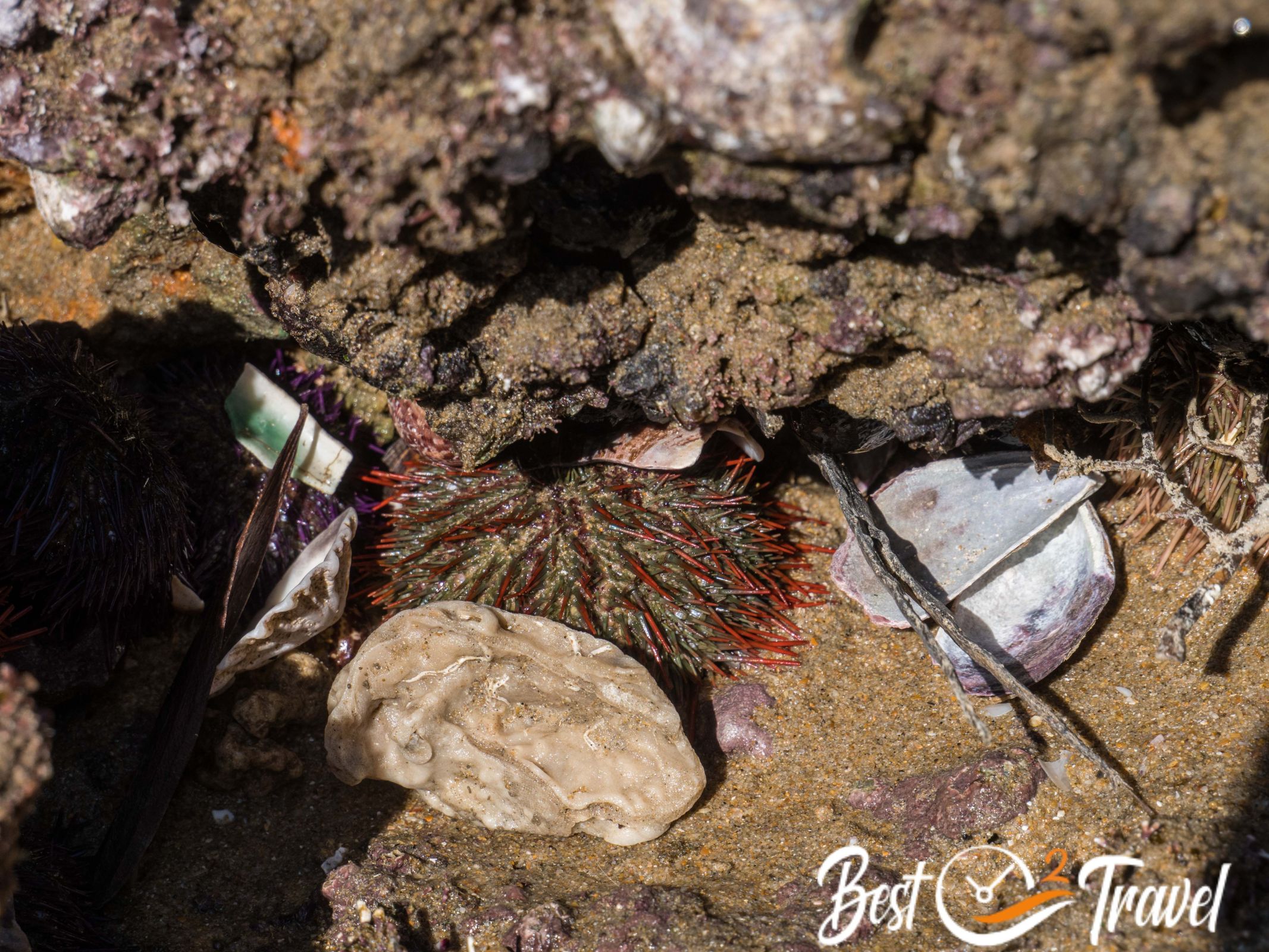 Gericke’s Point and Swartvlei Beach in Sedgefield Between George and ...