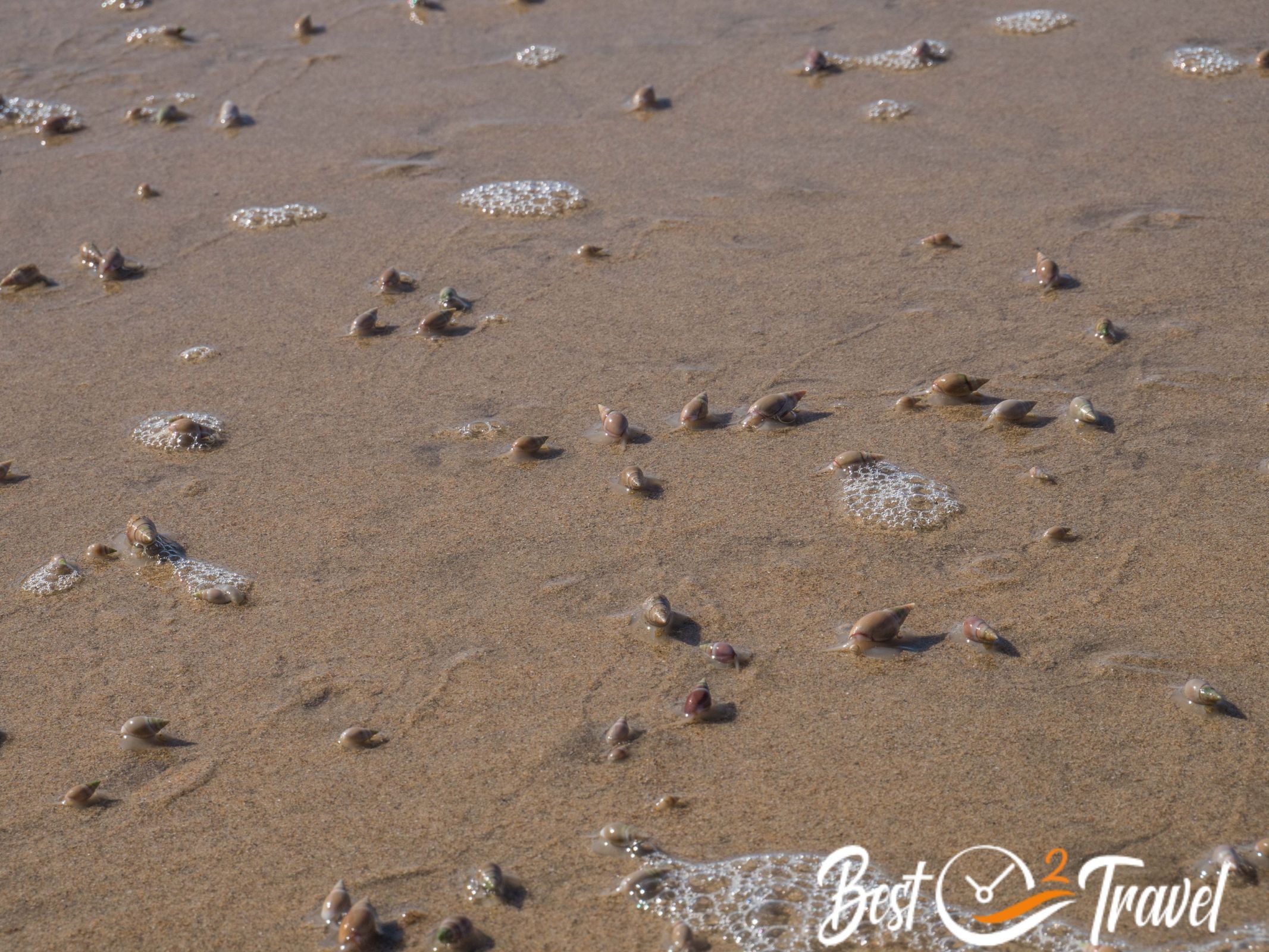 Gericke’s Point and Swartvlei Beach in Sedgefield Between George and ...