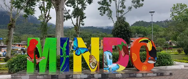Bird Watching in Mindo - Ecuador