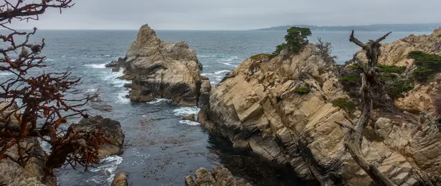 Explore Point Lobos - Carmel