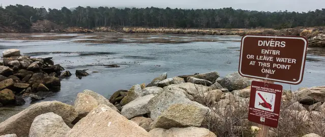 Explore Point Lobos - Carmel