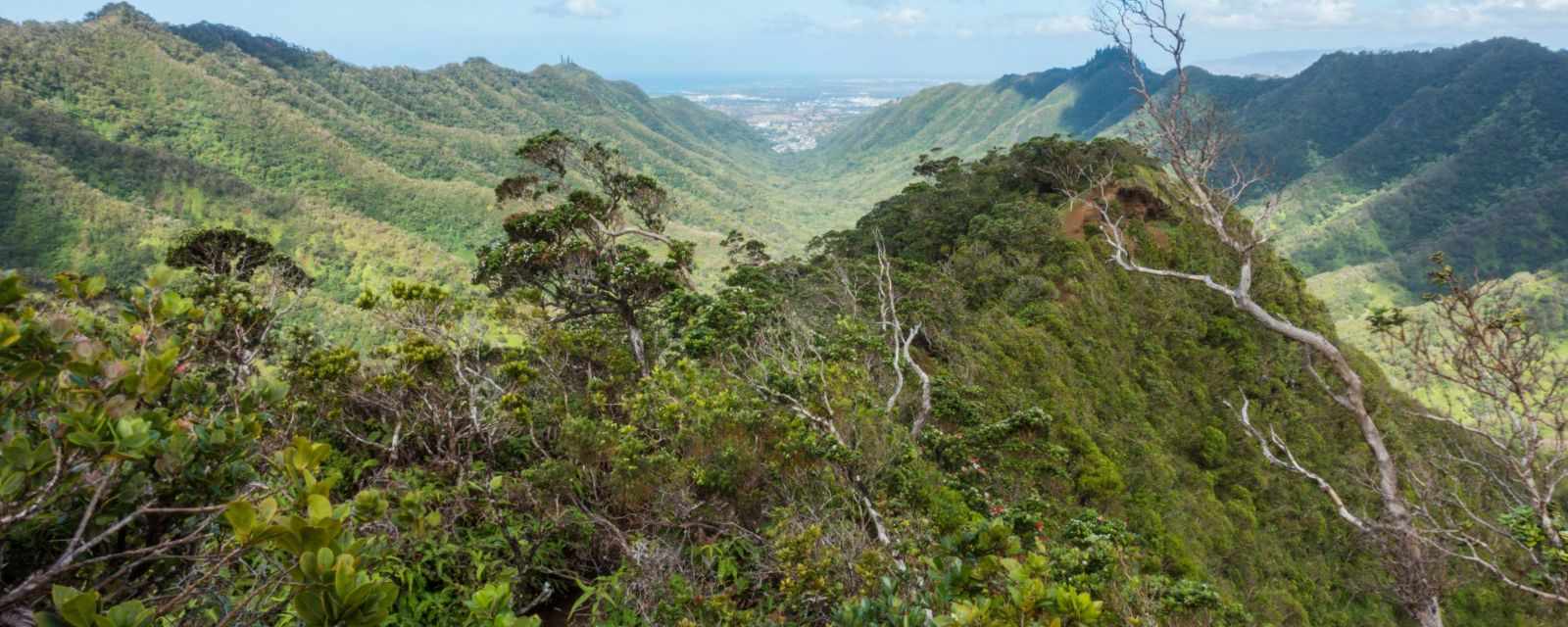 Moanalua Valley to Haiku Stairs - The Legal Way